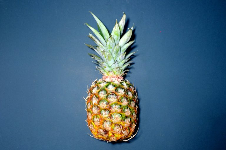Fresh Pineapple Moris – Jiawan (S) Pte Ltd